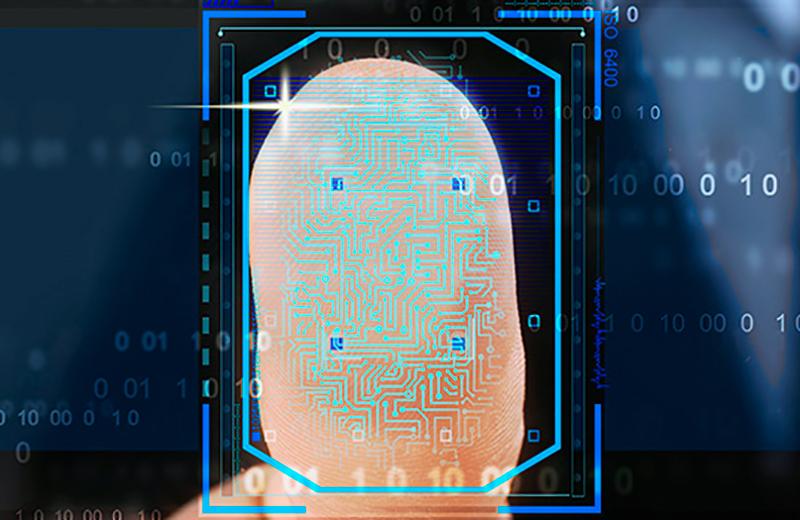 Biometrics Explained: Definition, Types & Modern Applications